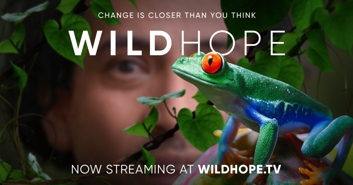 Wild Hope | eePRO